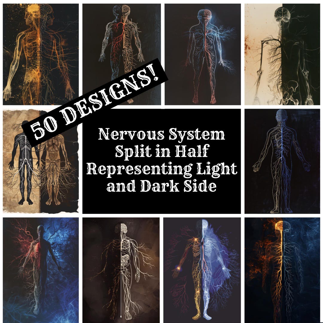 Anatomical Nervous System Journal Paper: Light & Dark Printable (PNG ...