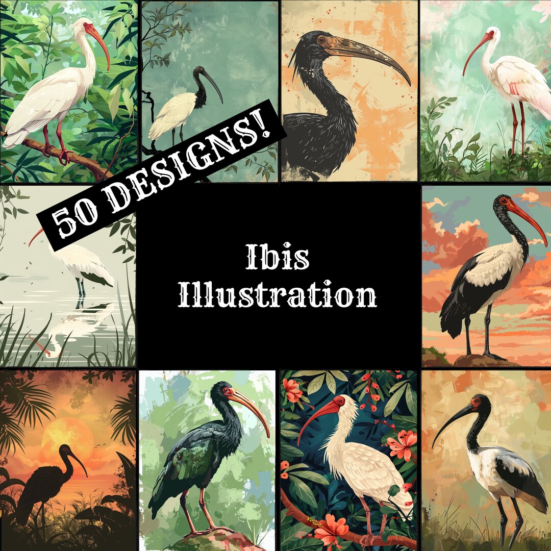 Ibis Illustration Digital Paper: Vintage Journal Inserts (PNG) - Etsy