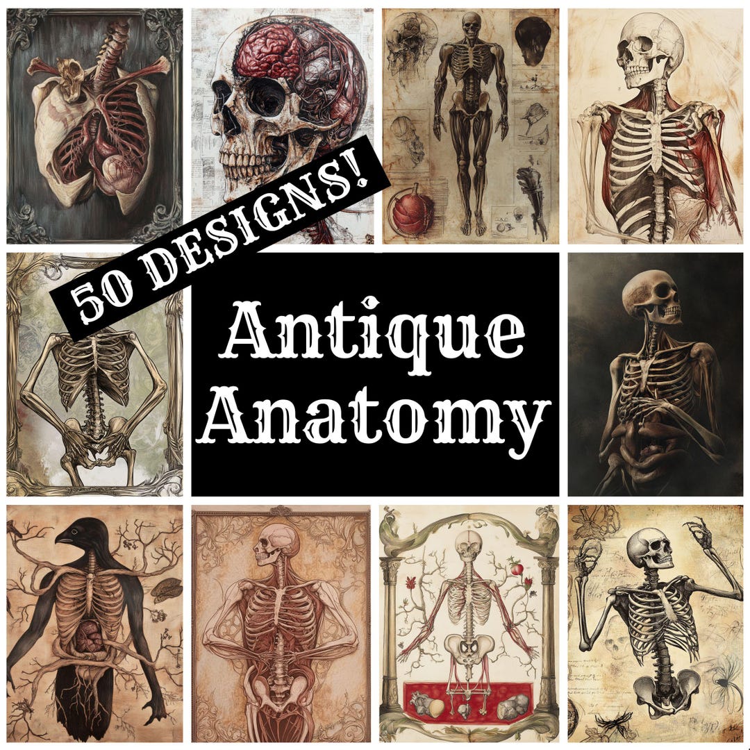 Antique Anatomy Journal Paper: Vintage Scrapbook Printables (digital ...