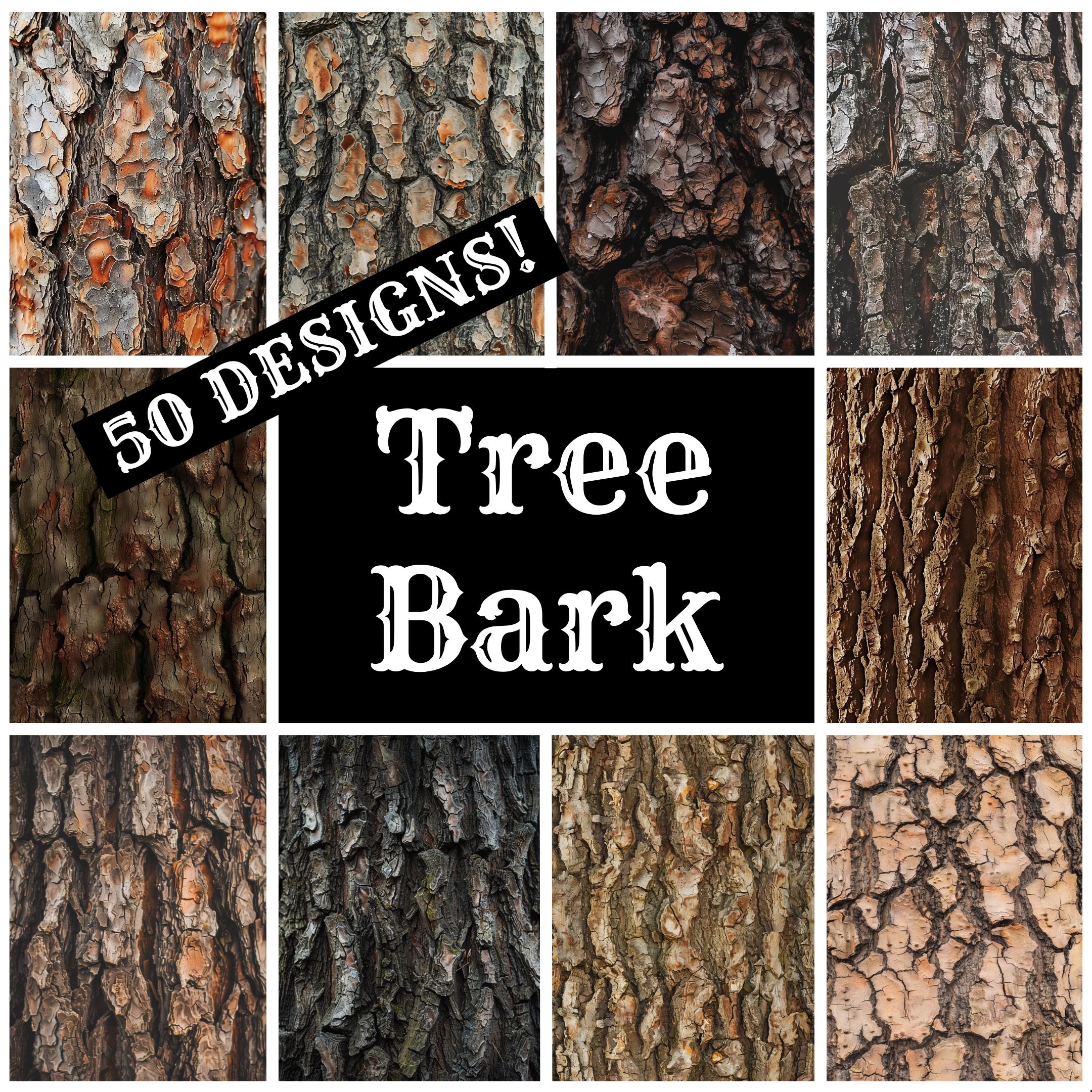 Tree Bark Digital Paper: Vintage Journal Inserts (PNG, 8.5x11 In ...