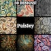 Vintage Paisley Digital Paper: 50 PNG Designs (digital Download) - Etsy
