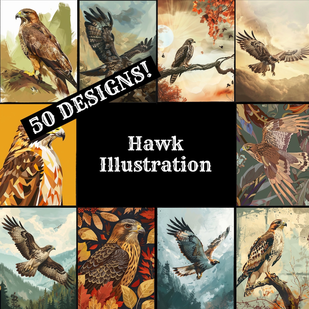 Hawk Illustration Digital Paper: Vintage Journal Inserts (PNG, 8.5x11 ...