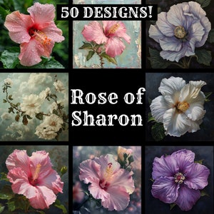 Rose of Sharon Paper, Rose of Sharon Printable Paper, Vintage Rose of ...