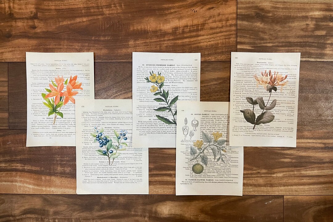 Digital Book Page Floral Art Print - Etsy