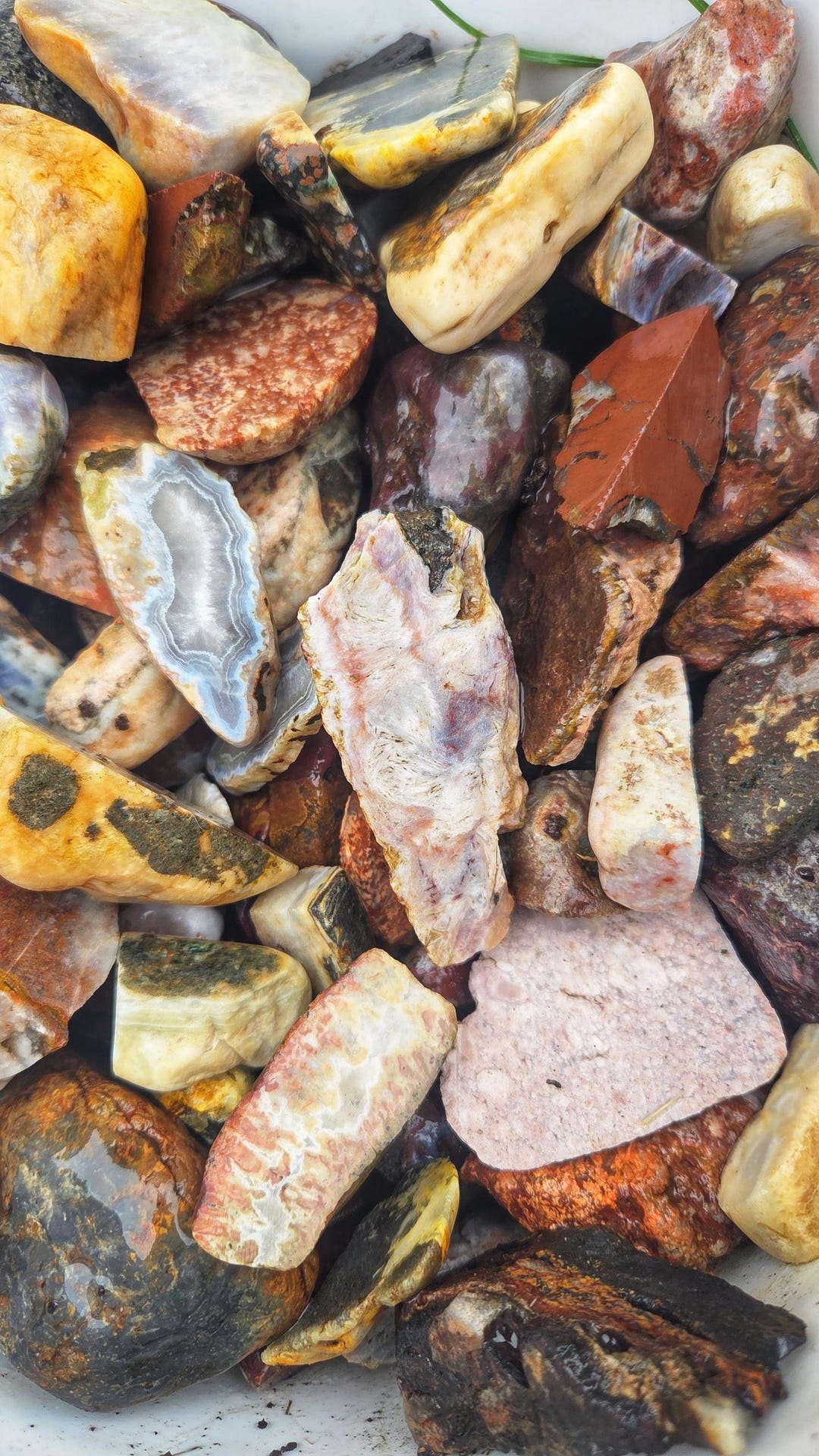 SLAB CUTS * Nova Scotia Bay of Fundy - Agates, Jaspers, Crystals ...