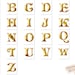 Sleeping Beauty Alphabet Letters PNG Cliparts Bundle, Sleeping Beauty ...