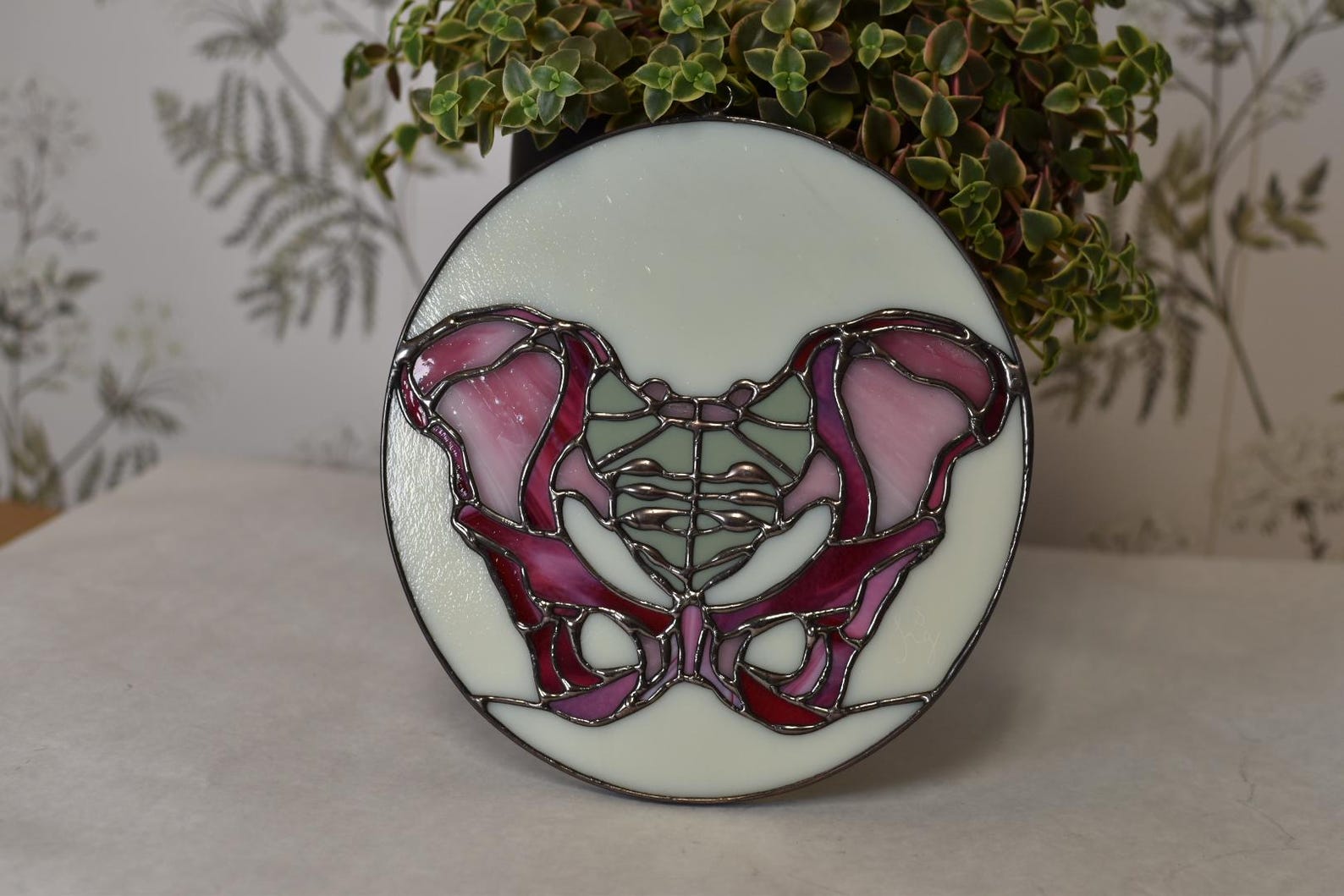Stained Glass Pattern for Anatomical Pelvis - Etsy