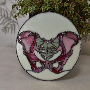 Stained Glass Pattern for Anatomical Pelvis - Etsy