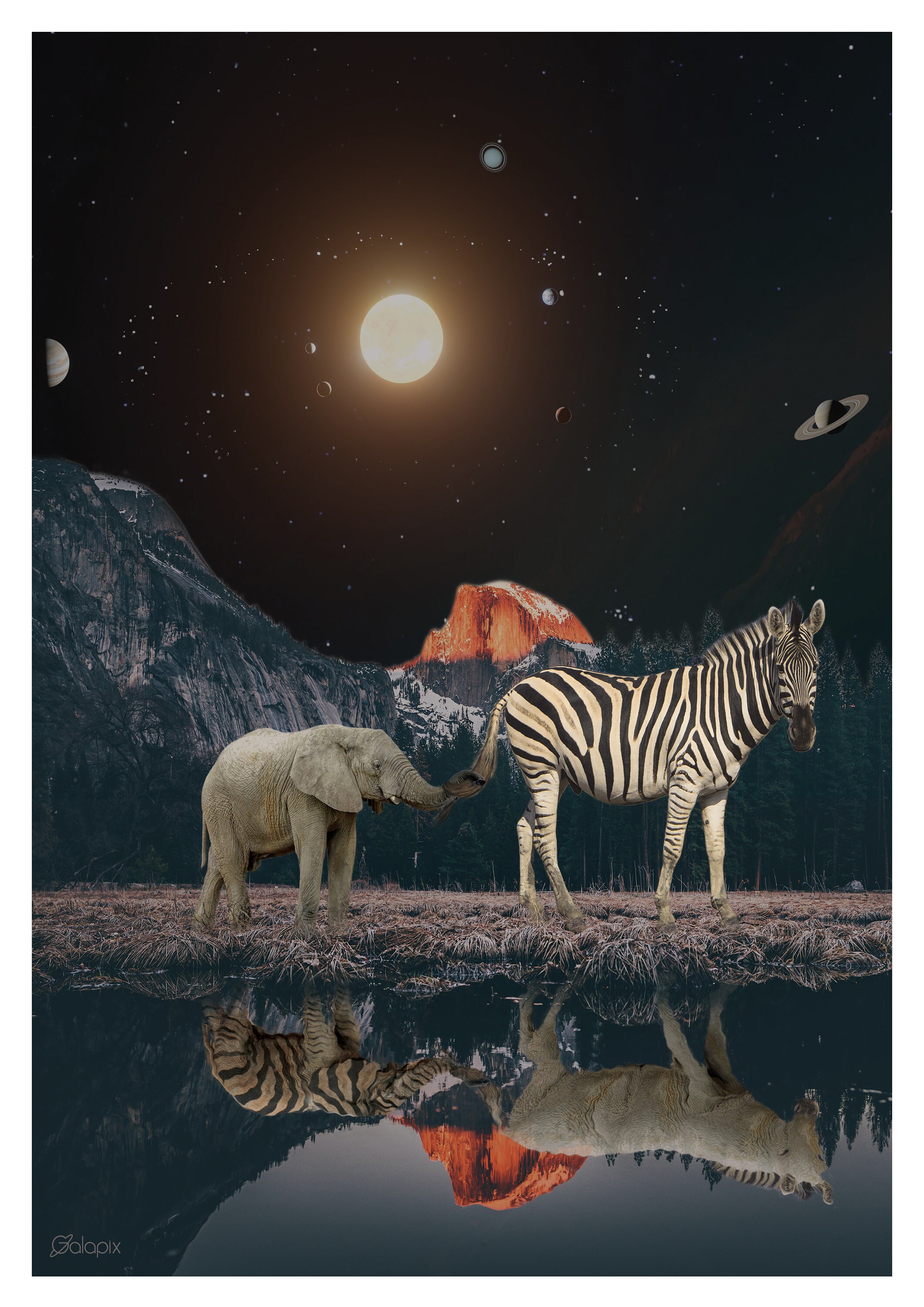 Best Friends: Poster, Poster, Frame, Collage, Galaxy, Art, Elephant ...