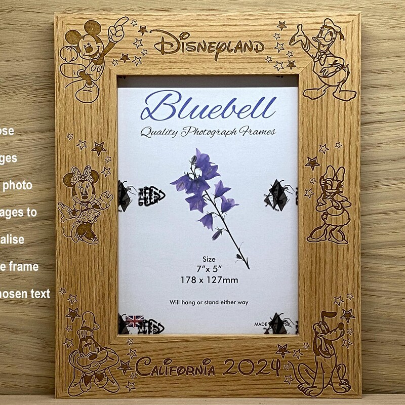 Disneyland 8x10 Picture Frames - Etsy