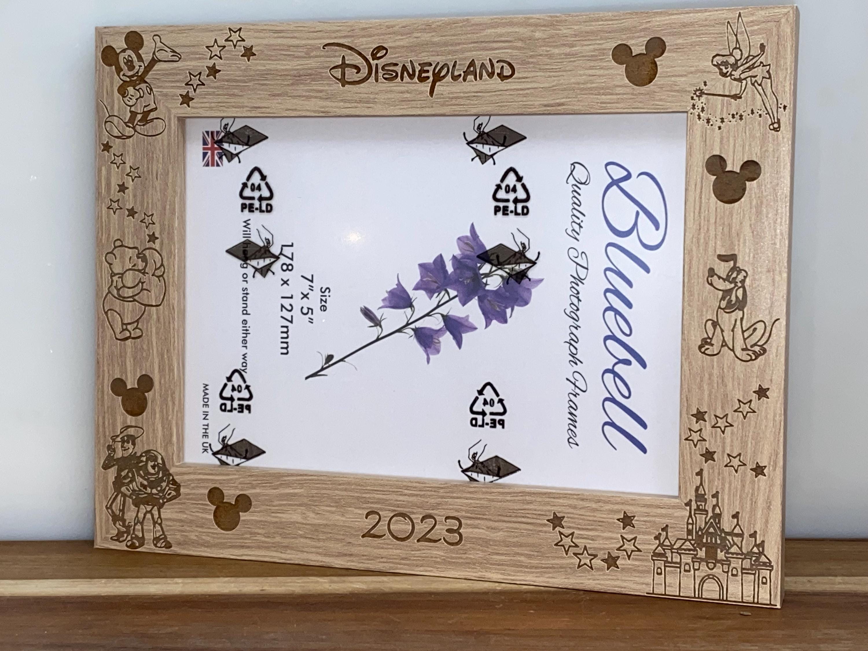 Disney Photo Frame Personalised and Engraved With Any Choice 6 Images ...