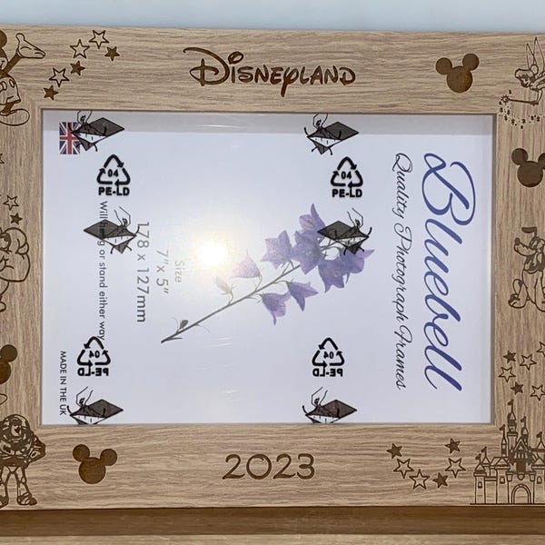 Disneyland 8x10 Picture Frames - Etsy