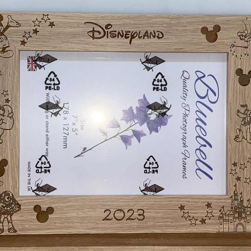 Disneyland 8x10 Picture Frames - Etsy