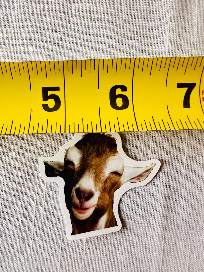 GOAT Stickers ( Set of 7) - Etsy