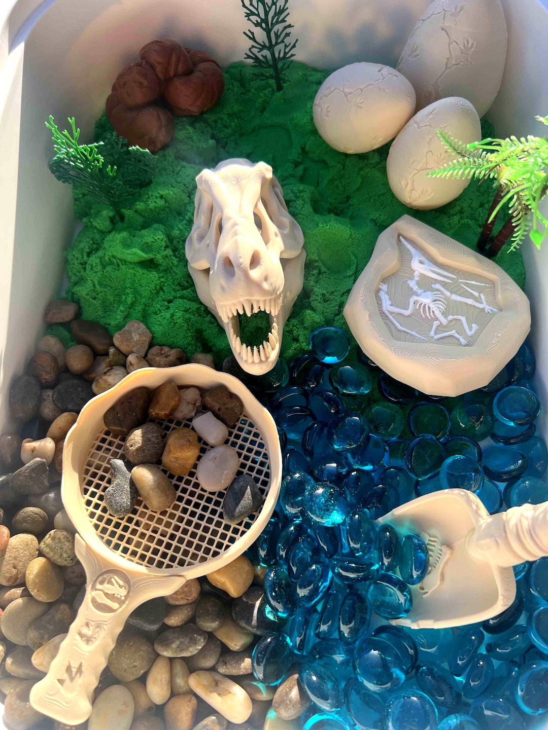 Dinosaur Fossil Dig Sensory Bin – STEM Excavation Kit for Kids - Etsy