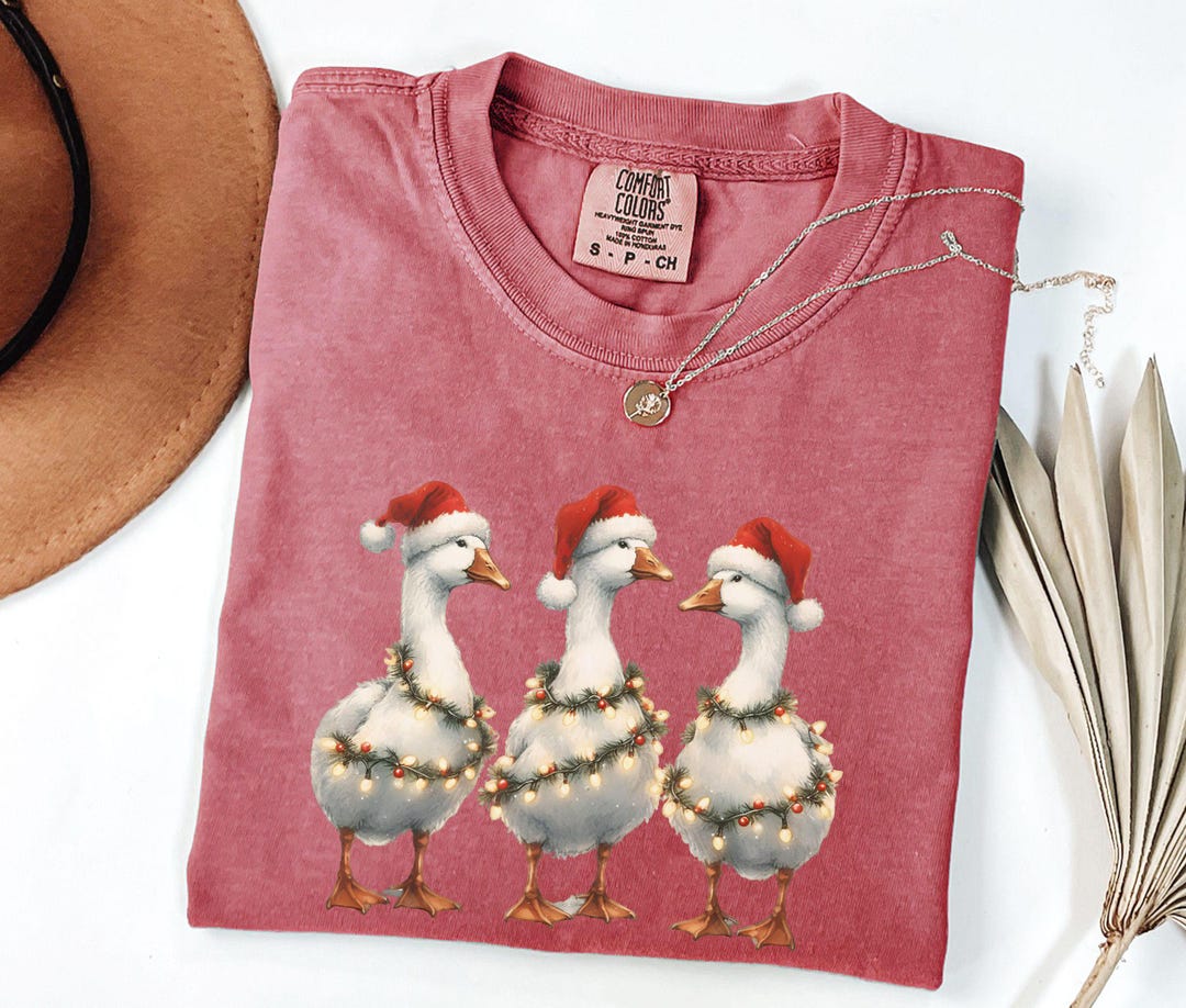 Christmas Silly Goose Comfort Colors Shirt, Silly Goose University ...