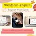 300 Bilingual Chinese Flashcards in Mandarin Chinese & English - Etsy