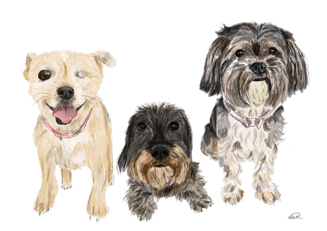 Pet Illustration 2 or 3 Dogs A3 - Etsy