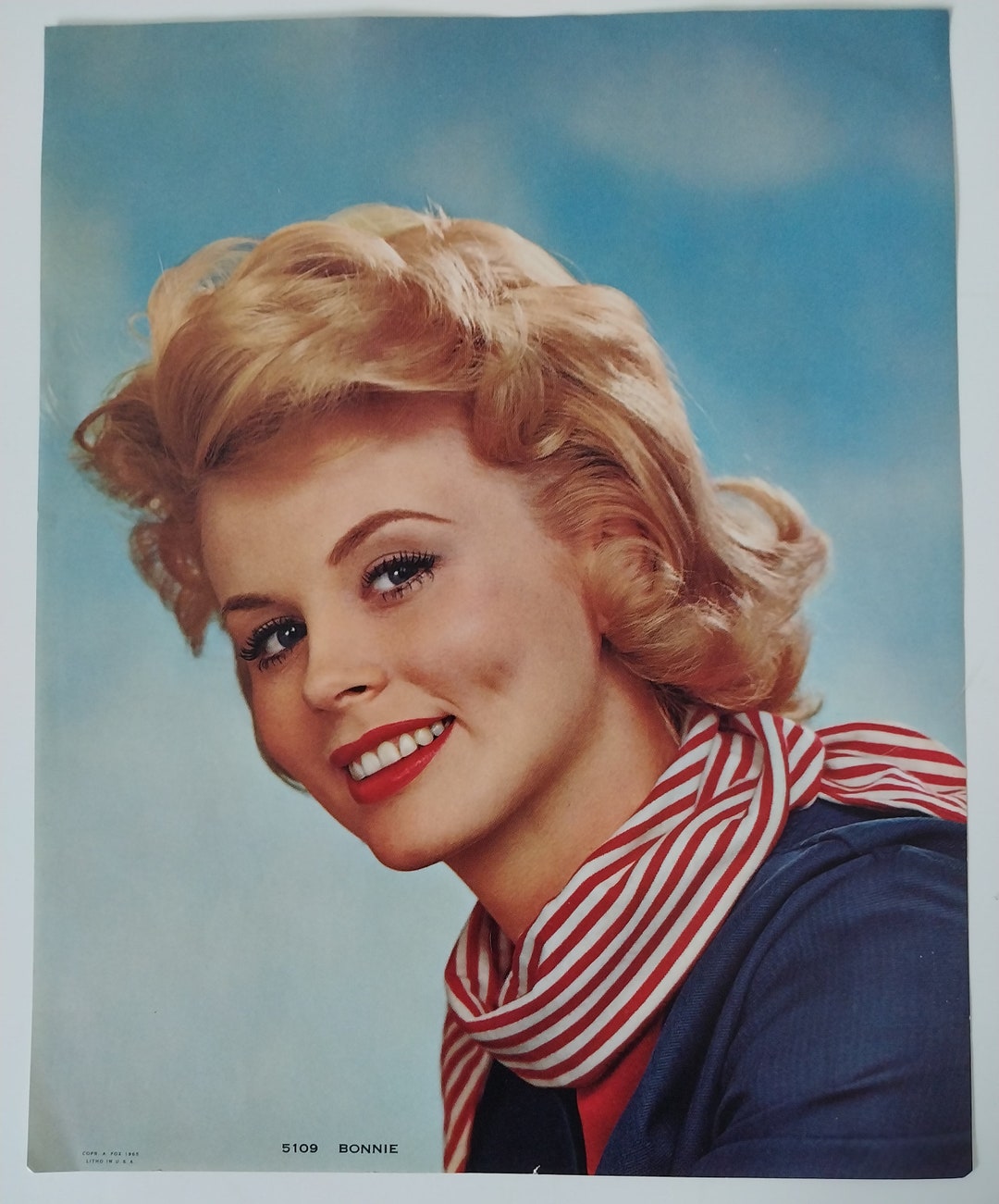 Original Vintage 1965 Corp. A. Fox Technicolor 8x10 Lithograph of A ...