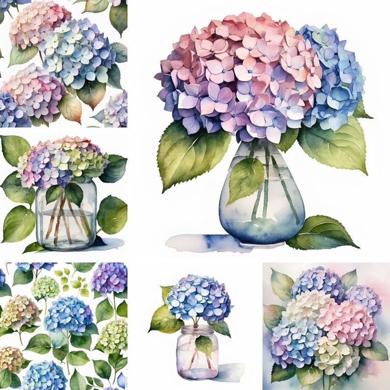 Watercolor Hydrangea Clipart: Floral Bouquets PNG (commercial Use) - Etsy