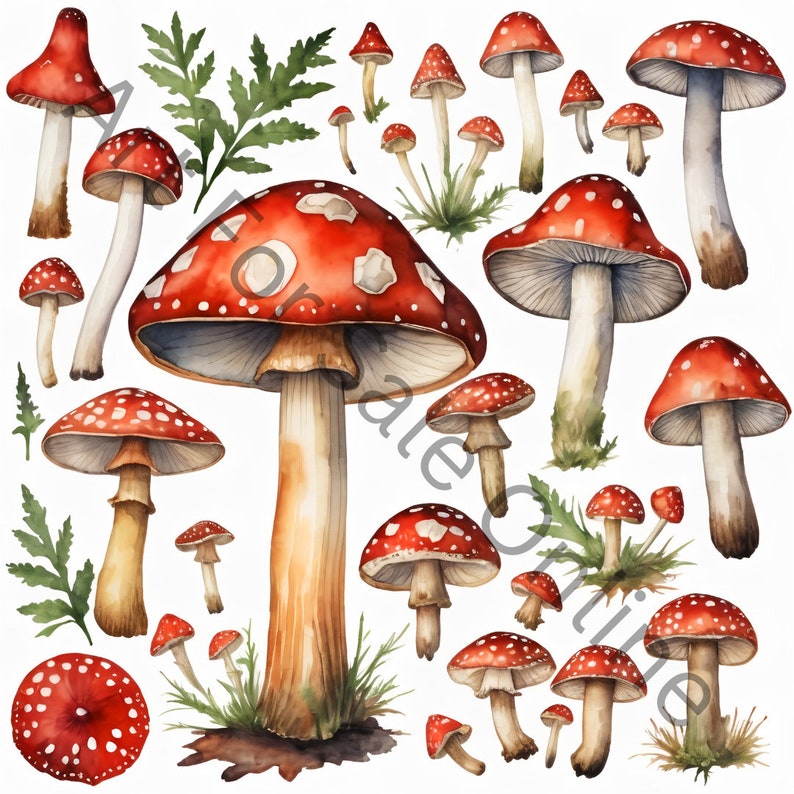 Watercolor Red Mushrooms Clipart in PNG Format for Commercial Use ...