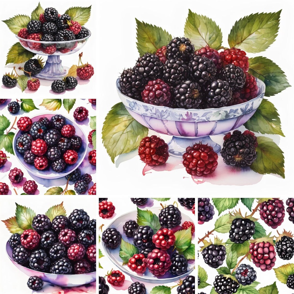 Watercolor Blackberries Clipart PNG Format Commercial Use Instant ...