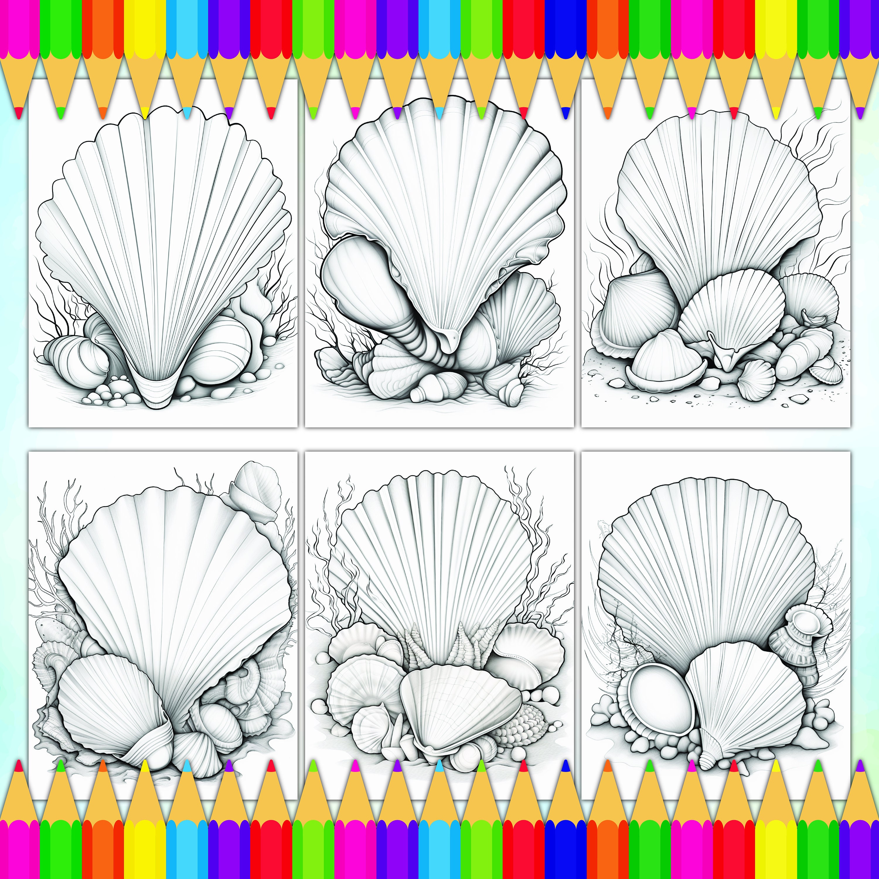 Seashell Coloring Pages : Relaxing Page Ease Stress and Find Serenity ...