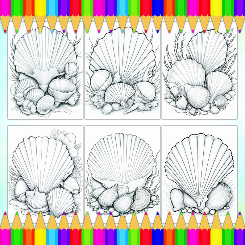 Seashell Coloring Pages : Relaxing Page Ease Stress and Find Serenity ...