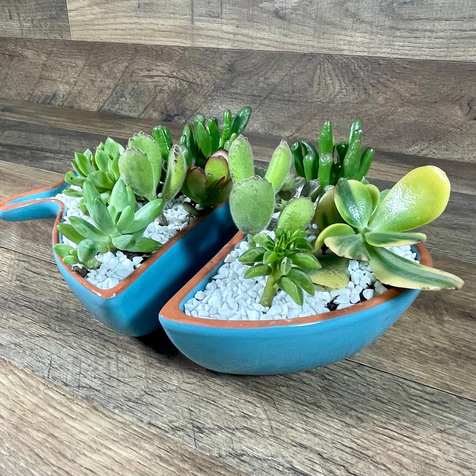 One Fish Two Fish Blue Fish Pot Two Piece Blue and Orange Fish Pot With ...