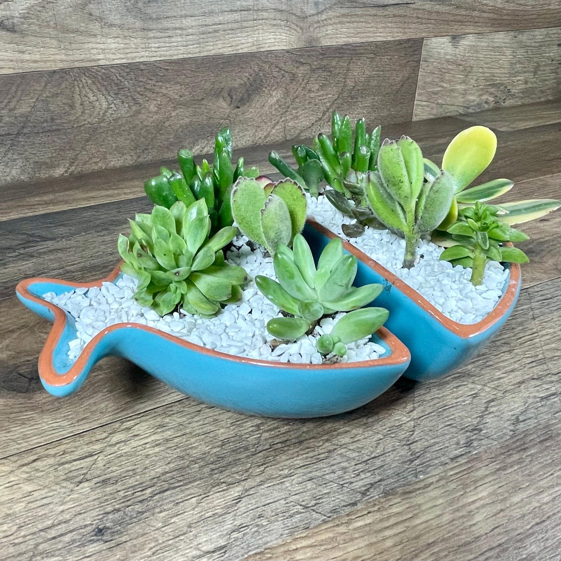 One Fish Two Fish Blue Fish Pot Two Piece Blue and Orange Fish Pot With ...