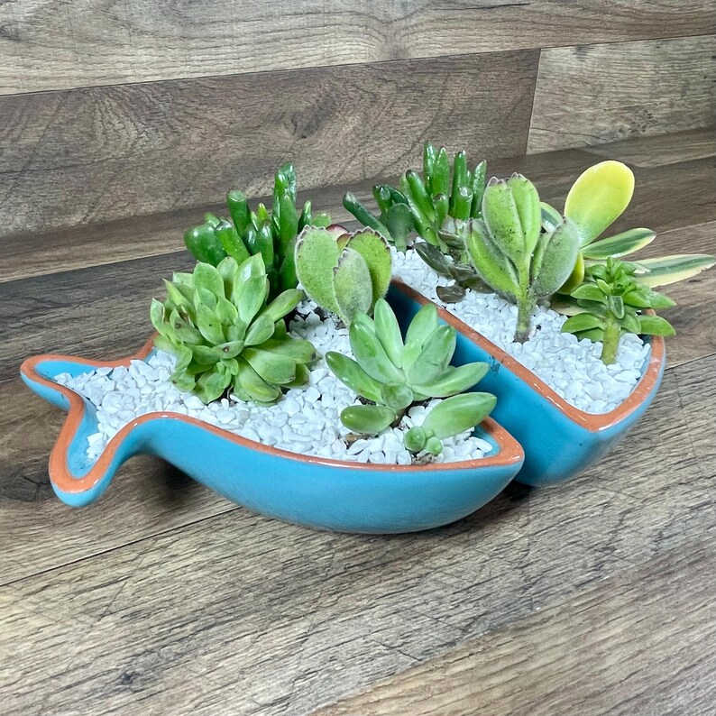 One Fish Two Fish Blue Fish Pot Two Piece Blue and Orange Fish Pot With ...