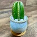 Cactus in Mini Light Blue Pot - Etsy