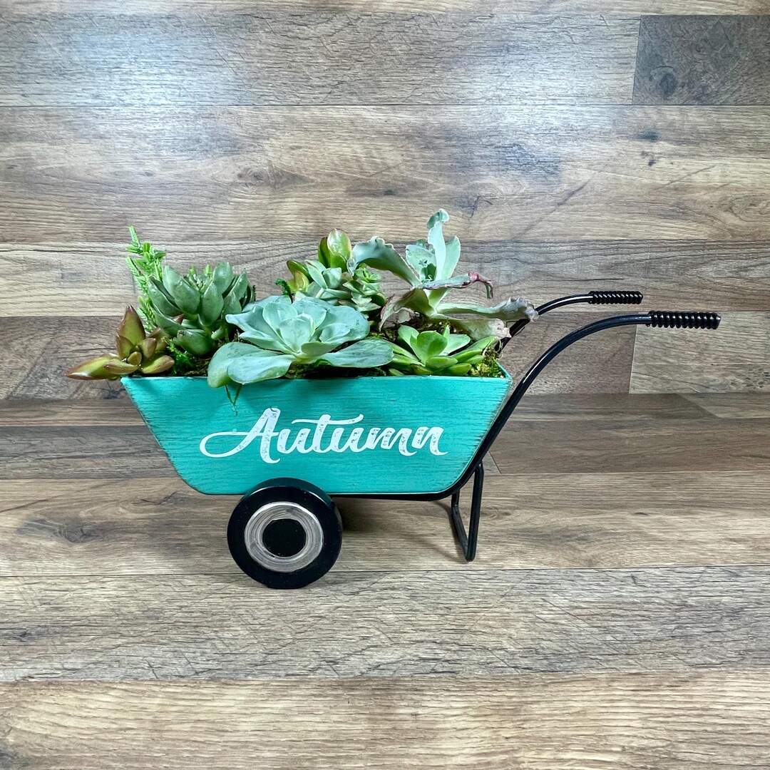 Autumn Wheelbarrow With Nine Piece Live Succulent Garden Unique Indoor ...