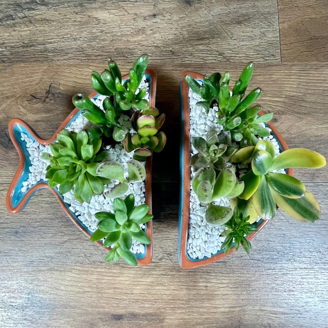 One Fish Two Fish Blue Fish Pot Two Piece Blue and Orange Fish Pot With ...