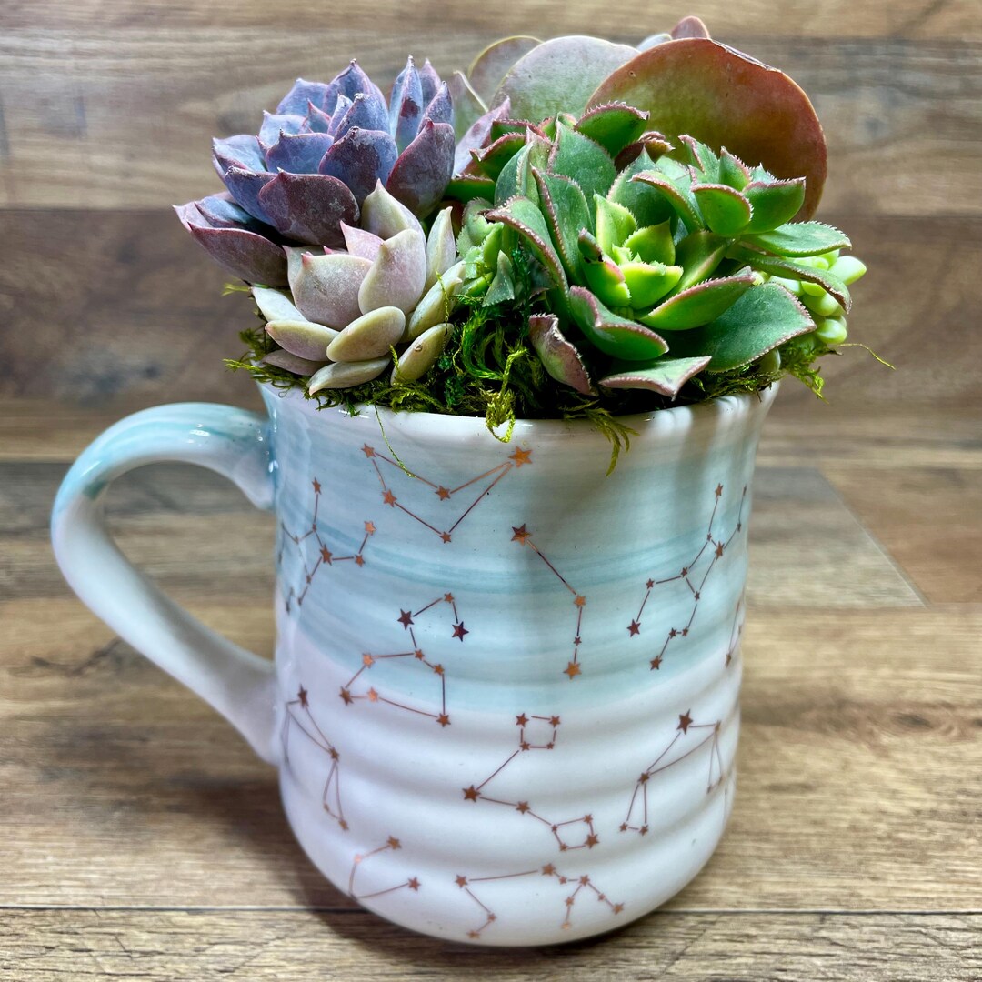 Unique Constellation Coffee Cup Planter With Succulents in Vivid Colors ...