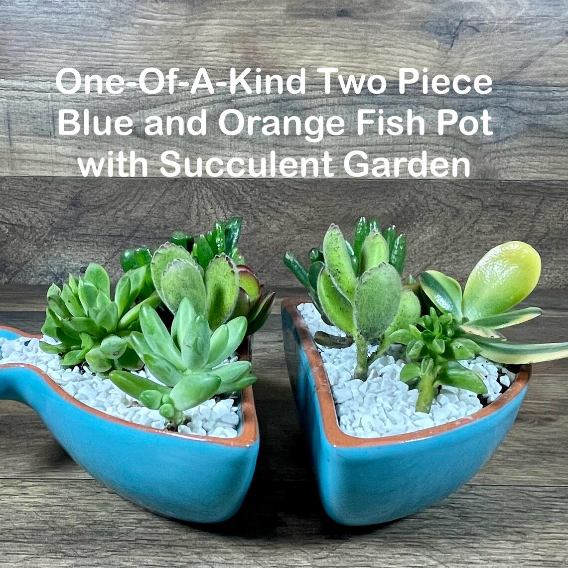 One Fish Two Fish Blue Fish Pot Two Piece Blue and Orange Fish Pot With ...