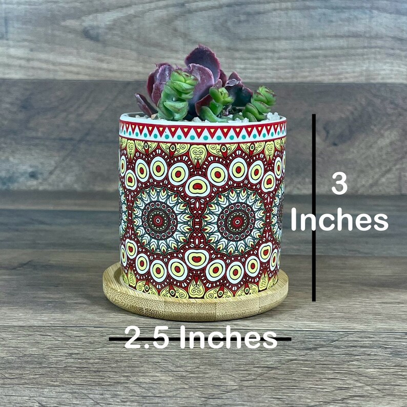 Mandala Pot Featuring a Succulent Garden - Etsy
