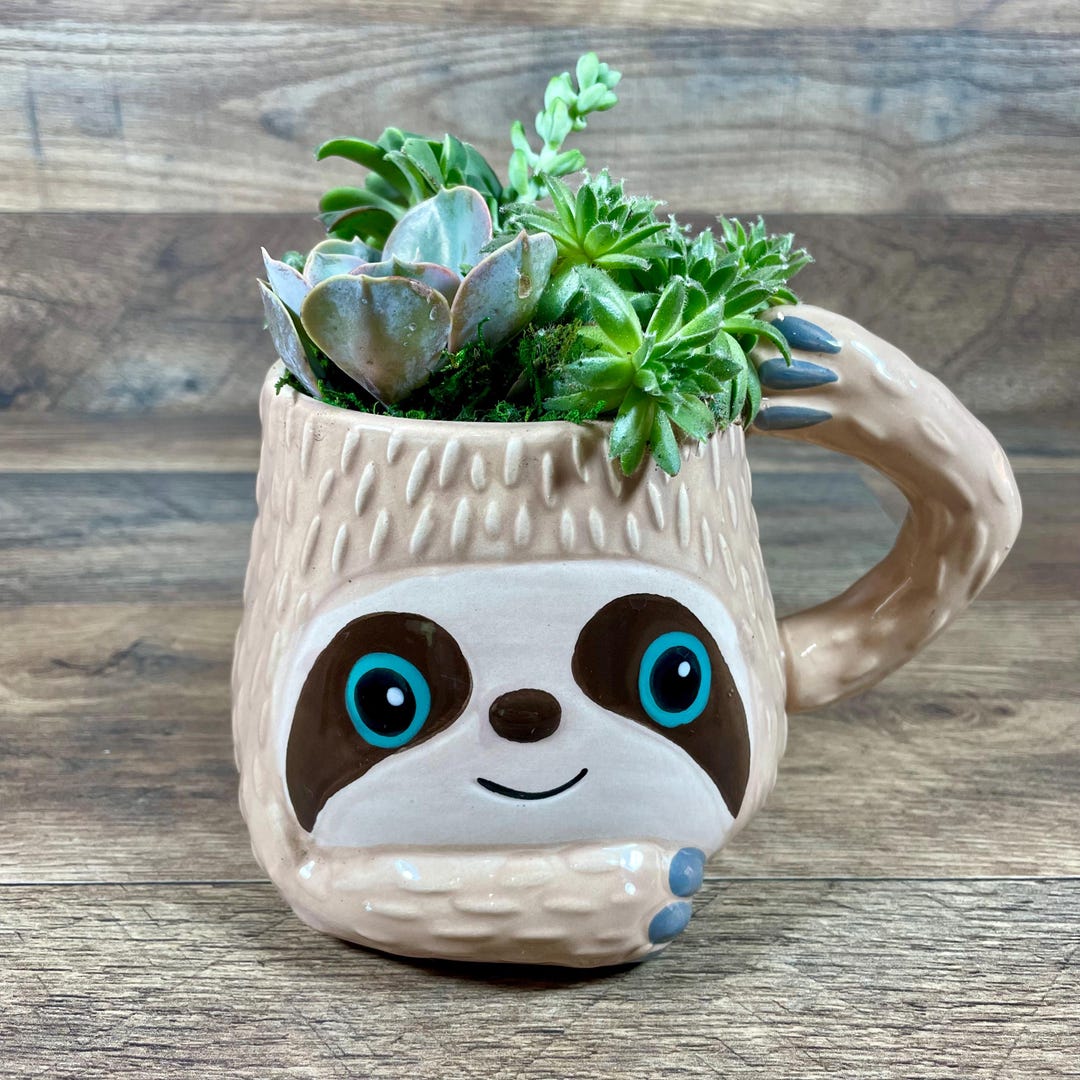 Sloth Animal Pot With Crazy Hair Succulents - Etsy