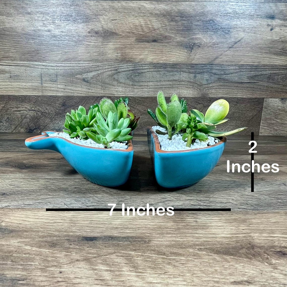 One Fish Two Fish Blue Fish Pot Two Piece Blue and Orange Fish Pot With ...