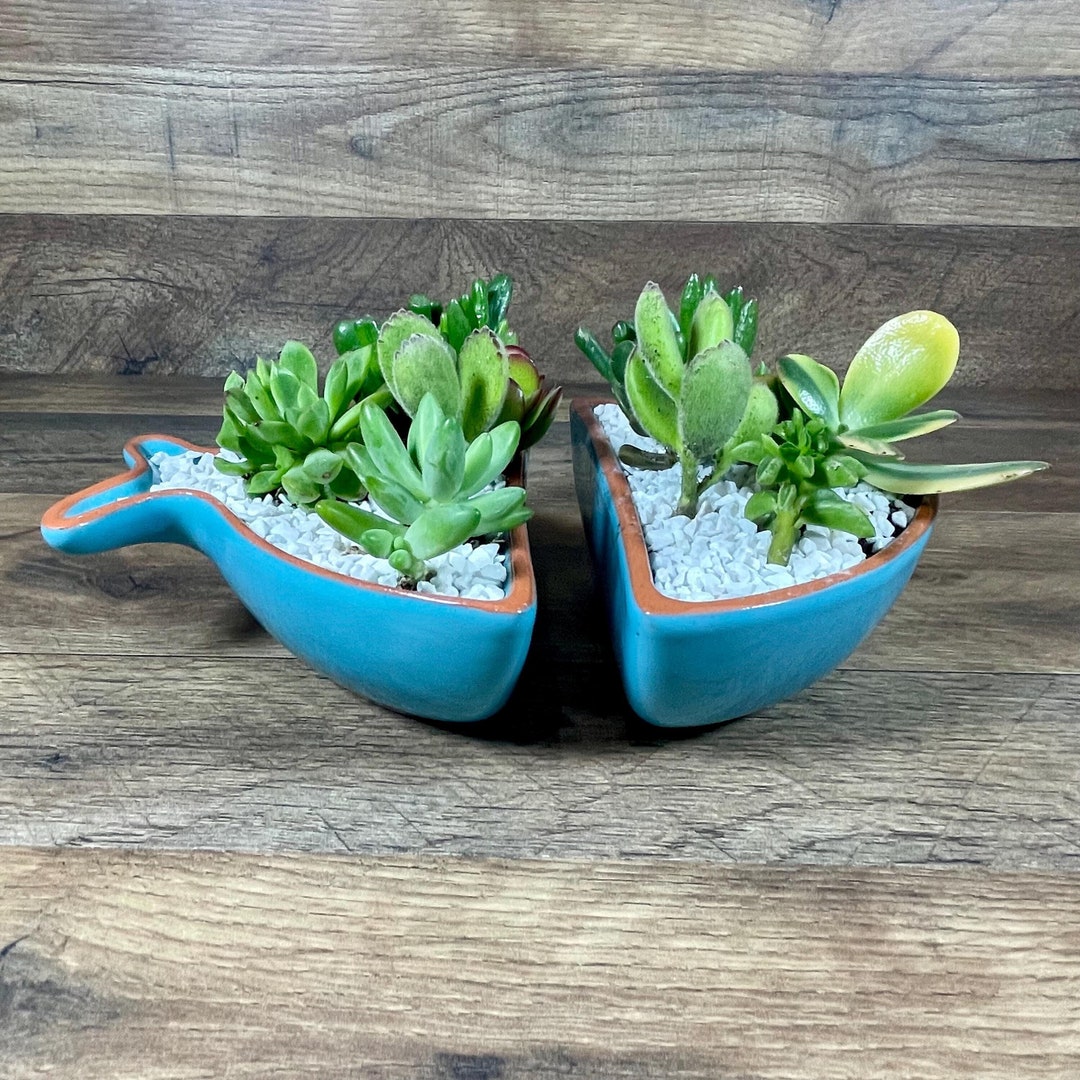 One Fish Two Fish Blue Fish Pot Two Piece Blue and Orange Fish Pot With ...