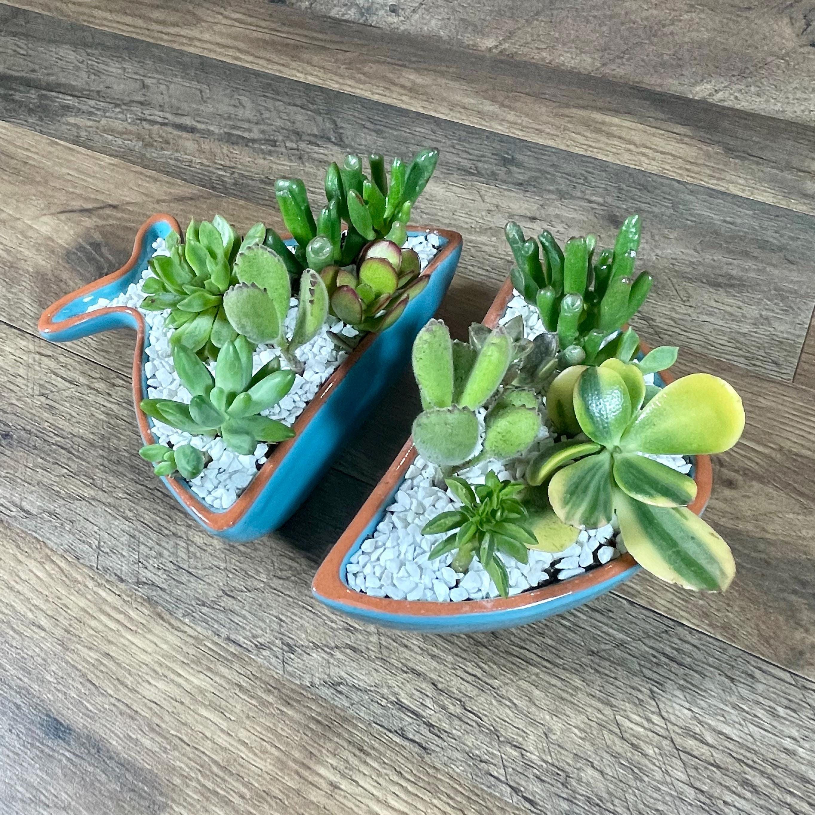 One Fish Two Fish Blue Fish Pot Two Piece Blue and Orange Fish Pot With ...