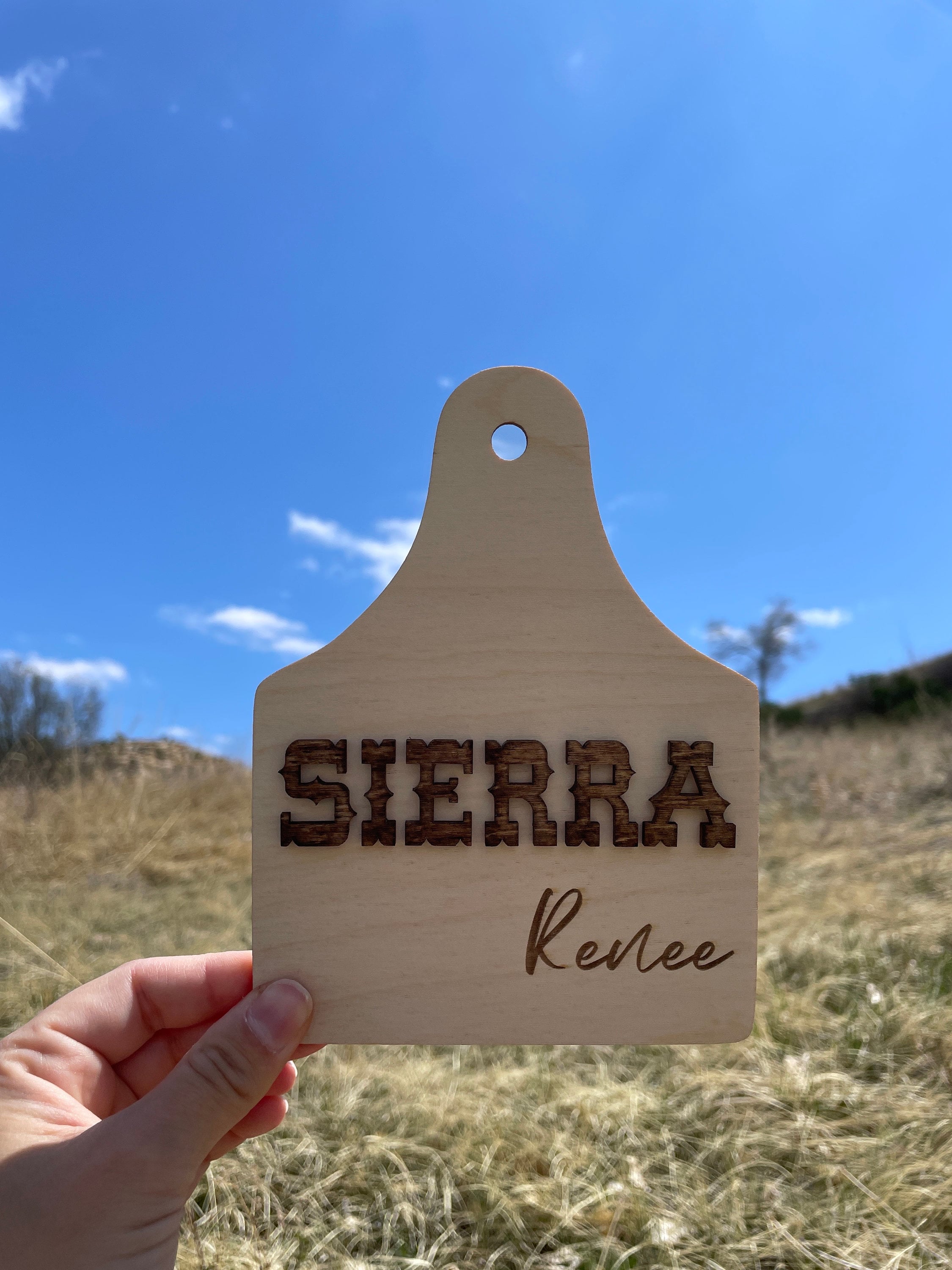Cow Tag Birth Announcement Sign, Rodeo Baby Name Sign, Hospital Name ...