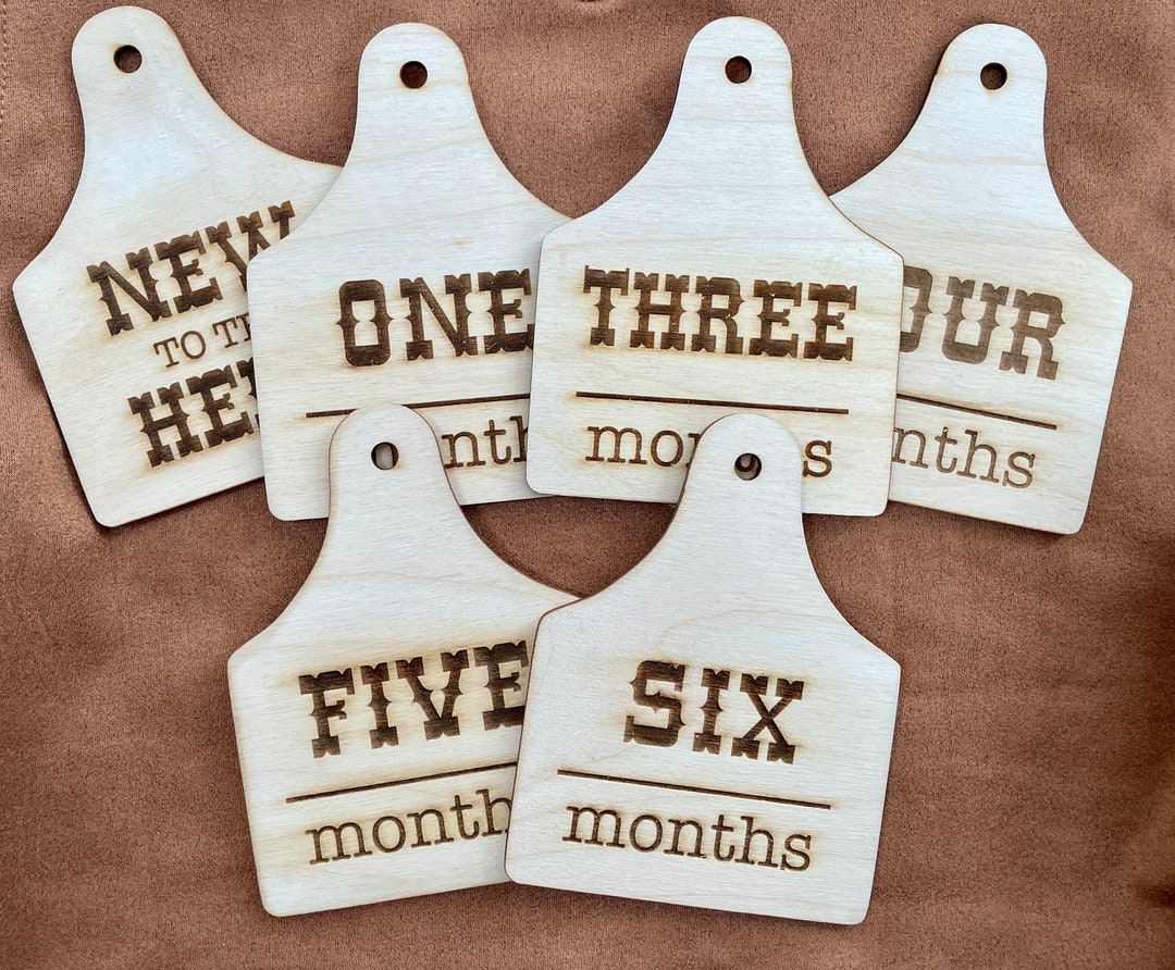 Cow Tag Baby Milestone, Wooden Monthly Milestone, Baby Shower Gift ...