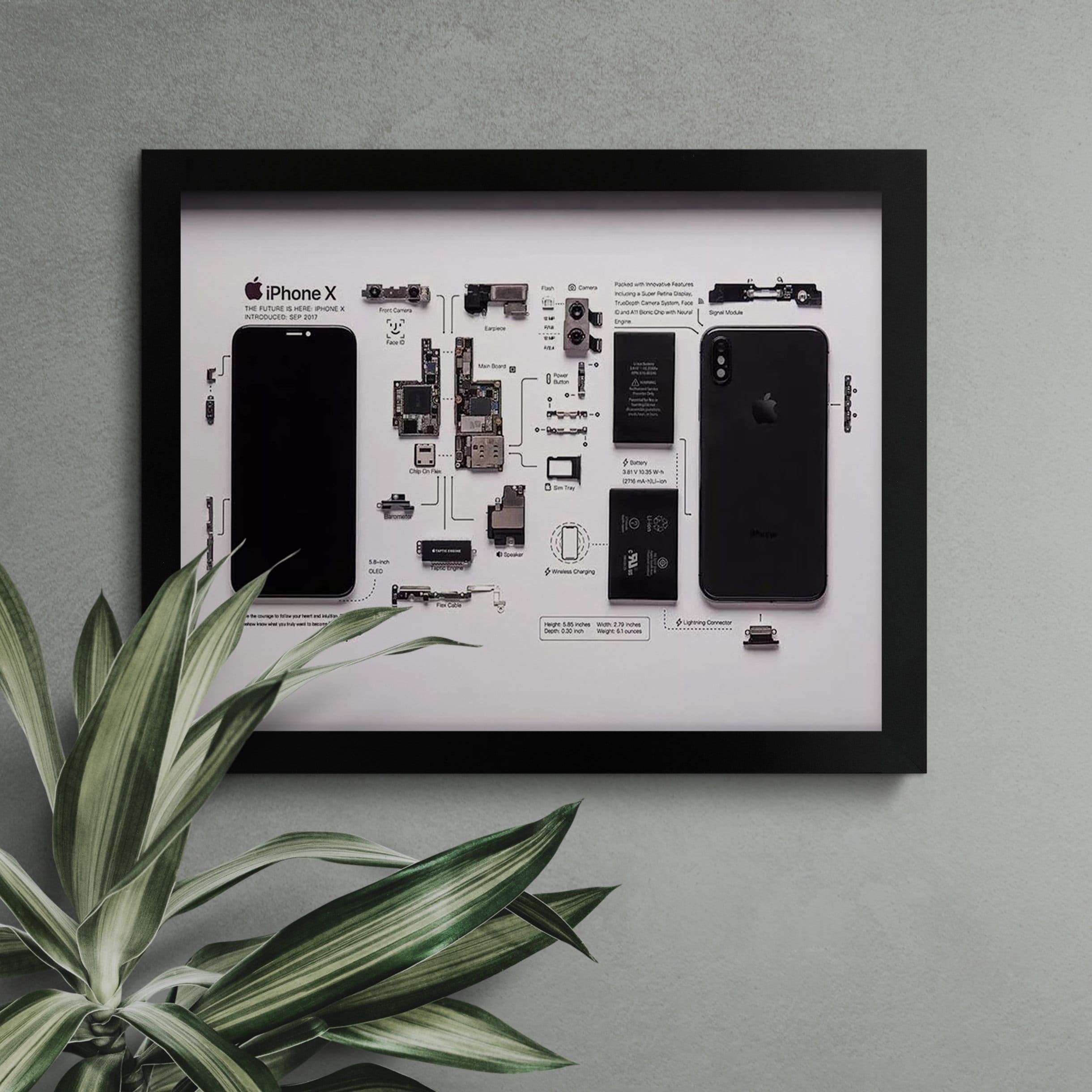 IPhone X Teardown Art - Digital Template - Apple - iPhone - Framed ...
