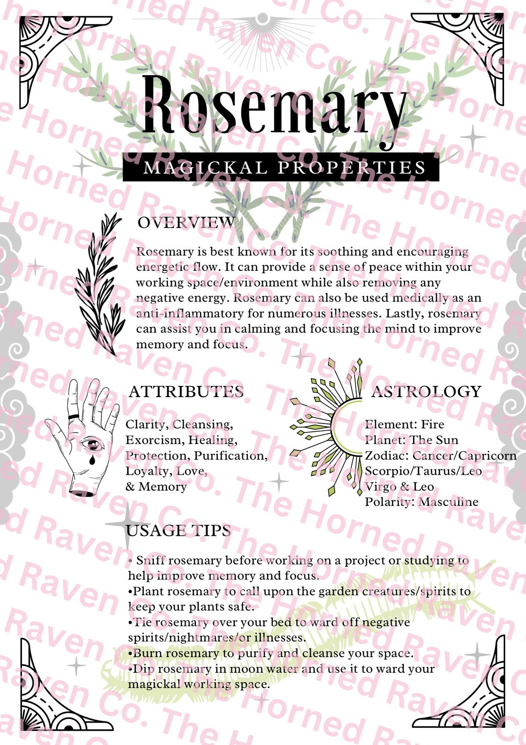 Rosemary Herb/bos/grimoire/spell Book Page - Etsy