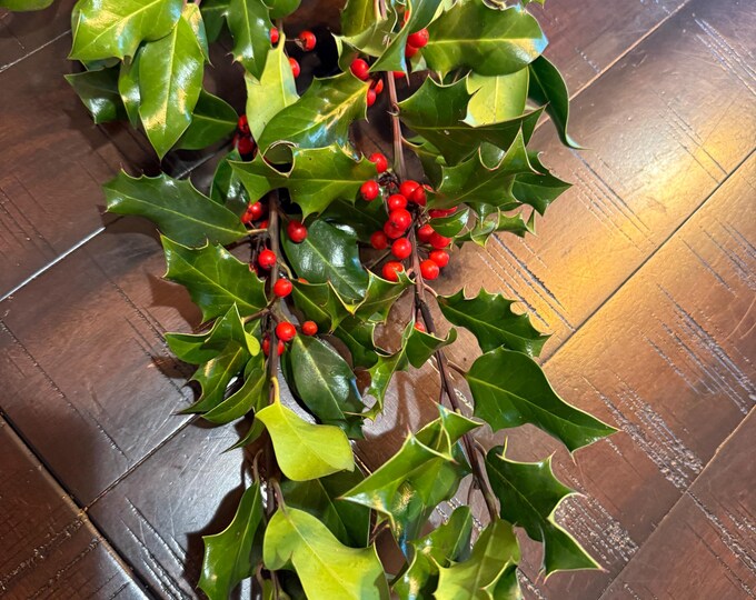 Fresh Loose Boxed Holly - Etsy