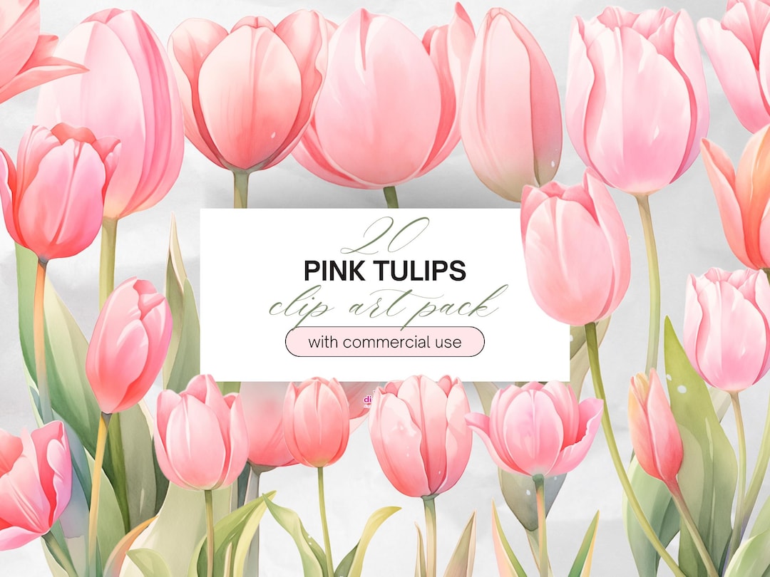 Watercolor Pink Tulips Clipart PNG Transparent Background With ...