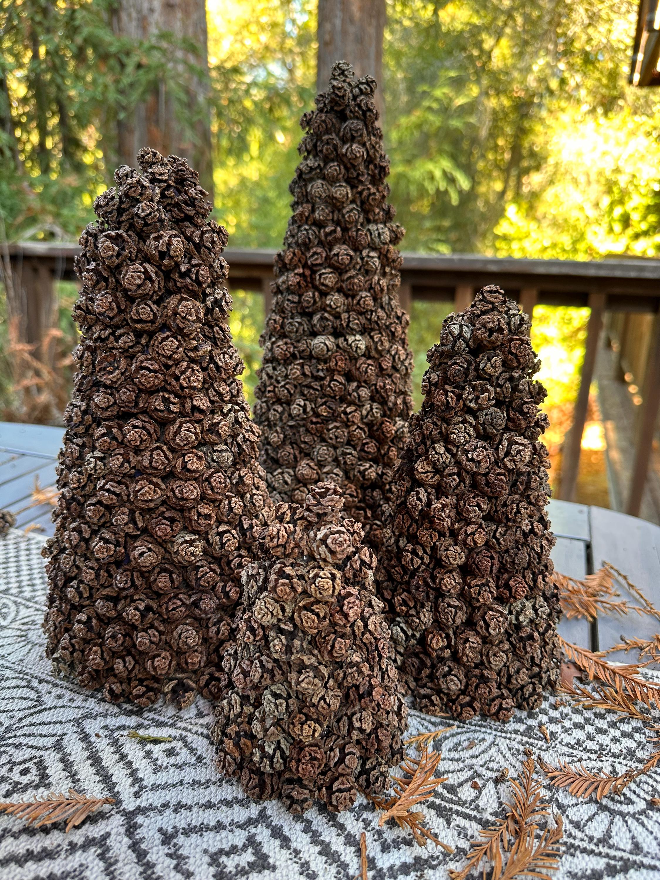 Redwood Tree Pine Cone Trees - Handmade Autumn, Fall, Holiday and ...