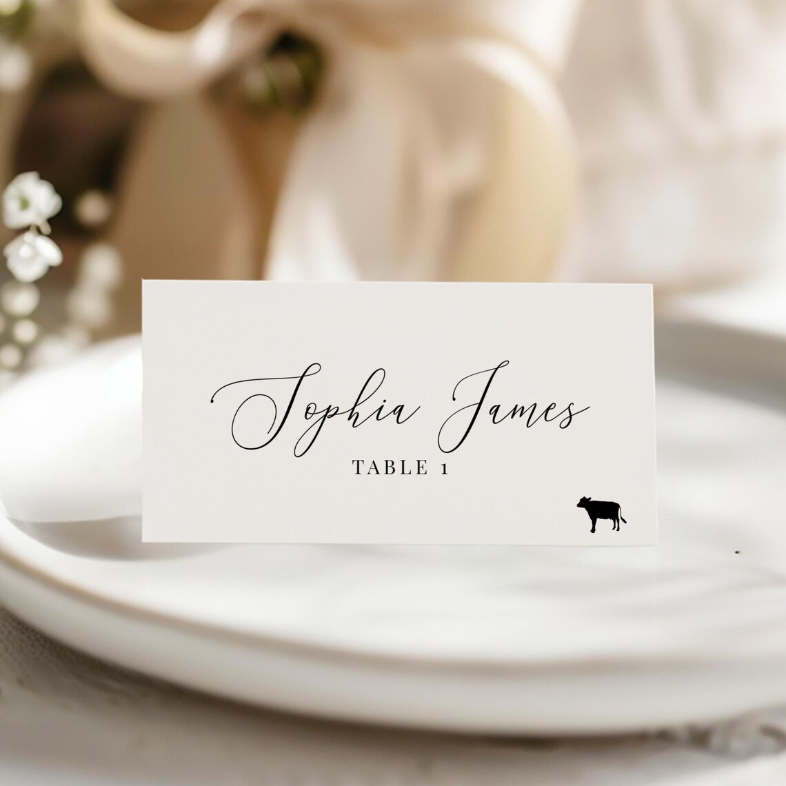 Wedding Place Cards With Food Option, Personalized Meal Choice Icons ...