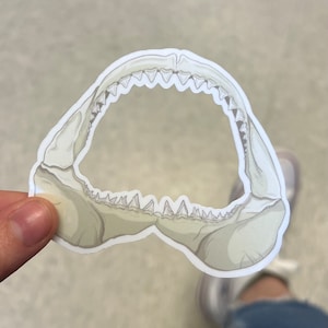 Shark Jaw - Laminated Vinyl Sticker - Hand Made - Hand Drawn - Etsy